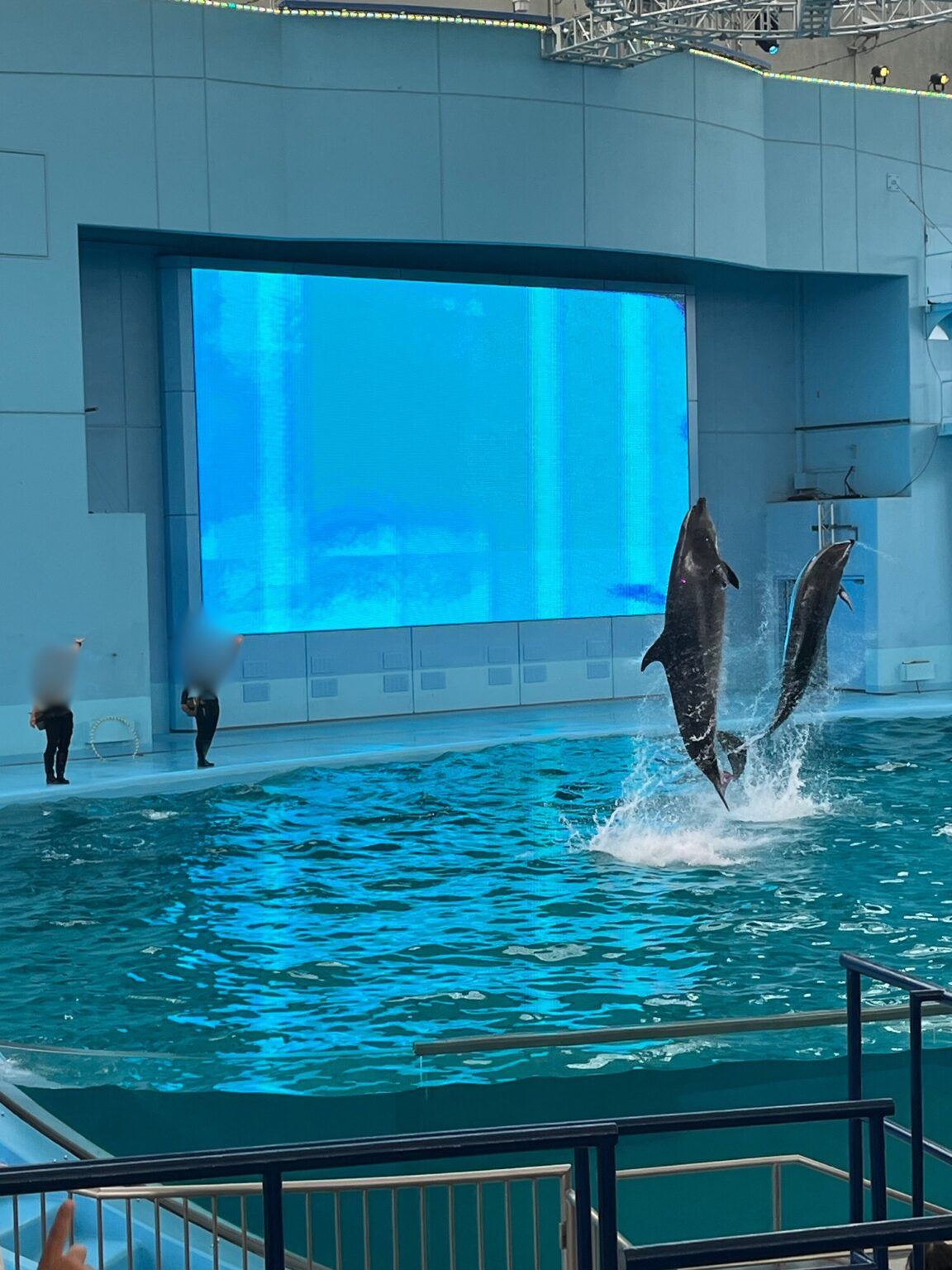 ぼっち・ざ・ろっく！×横浜八景島シーパラダイス | たびのおと